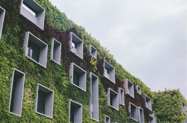 Eco-friendly hotels | 11 ideas to make your hotel sustainable