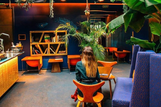 Mews Property Management System | The Hospitality System of the Future